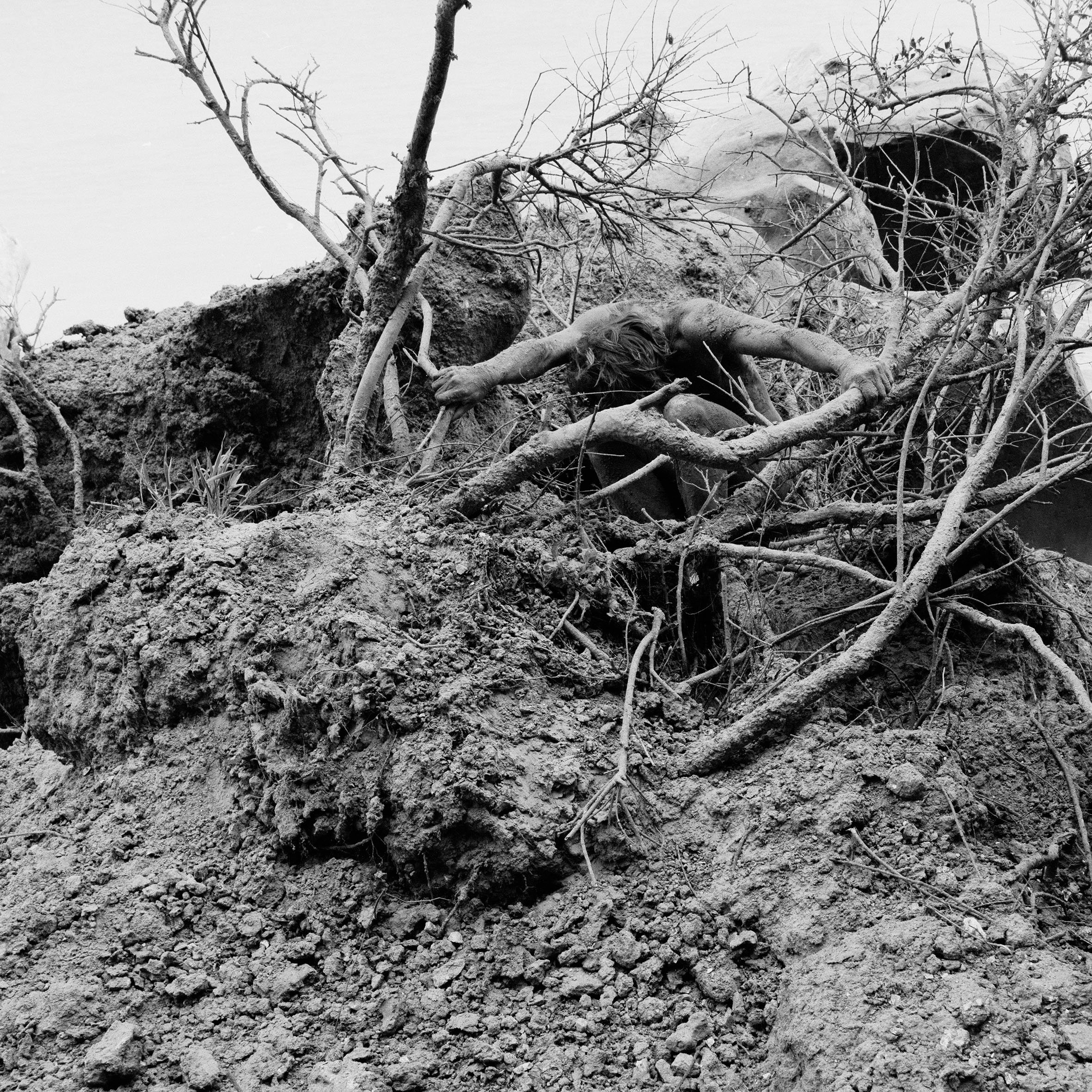 L'OEUVRE PHOTO MINOT-GORMEZANO | Rouillac