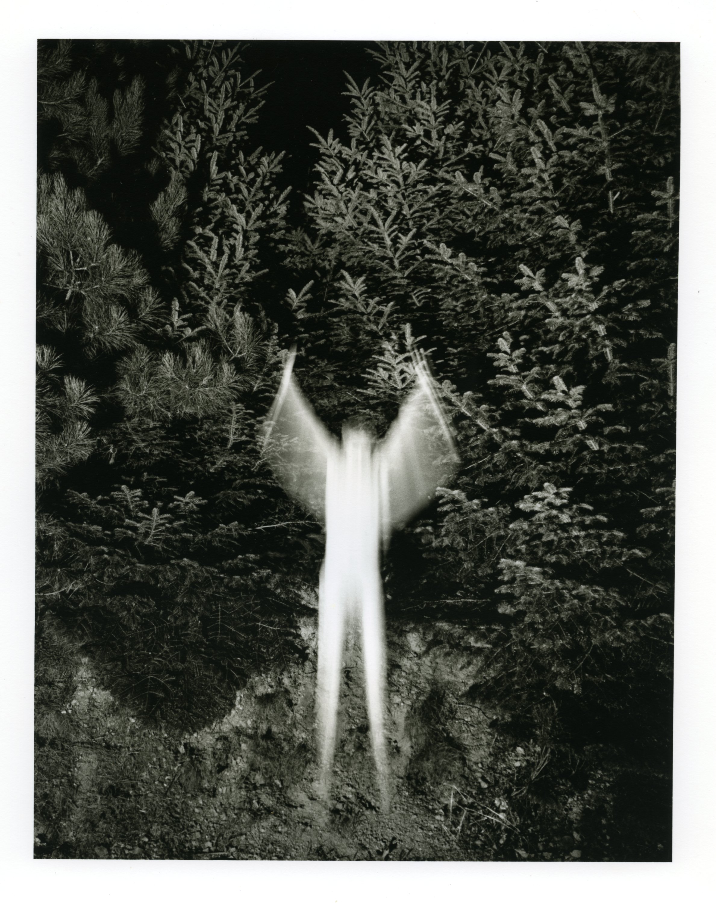 L'OEUVRE PHOTO MINOT-GORMEZANO | Rouillac