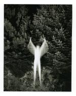 L'OEUVRE PHOTO MINOT-GORMEZANO | Rouillac